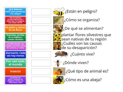 Abejas - Recursos didácticos