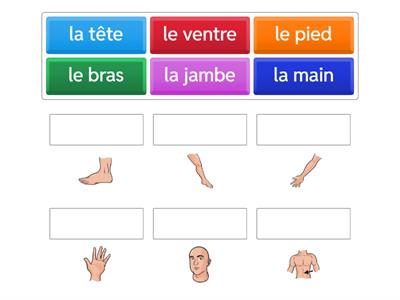 French Les parties du corps - Teaching resources