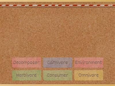 Ecosystems - Teaching resources