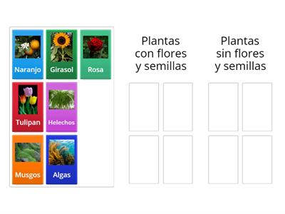 Las plantas con semillas - Recursos didácticos