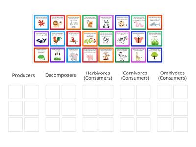 Decomposers - Teaching resources