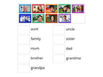 Beehive 1 - Teaching resources