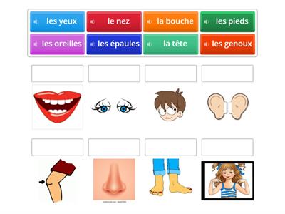 Les parties du corps - Teaching resources