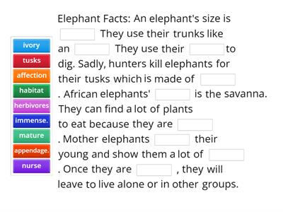 Elephants - Teaching resources