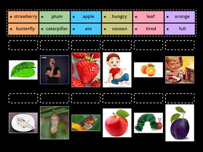 Very hungry caterpillar - Teaching resources