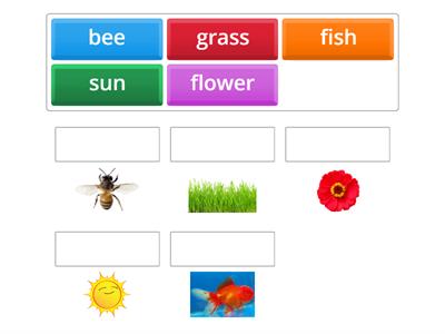 Spring words - Teaching resources