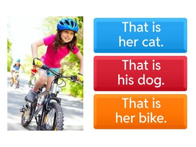 His her our their - Teaching resources