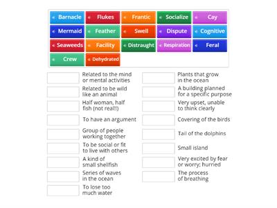 Dolphins - Teaching resources