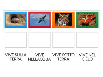 Animali Gli wordwall - Risorse didattiche