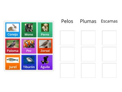 Cubierta de los animales - Recursos didácticos