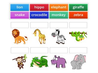 Jungle - Teaching resources