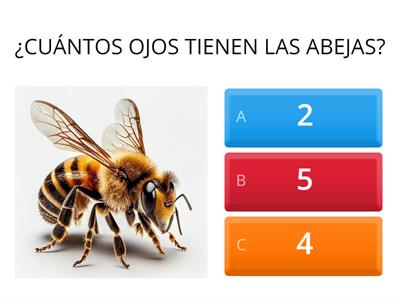 Abejas - Recursos didácticos