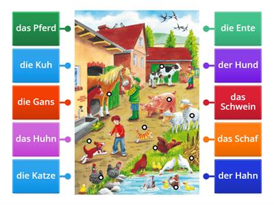 Tiere - Unterrichtsmaterialien