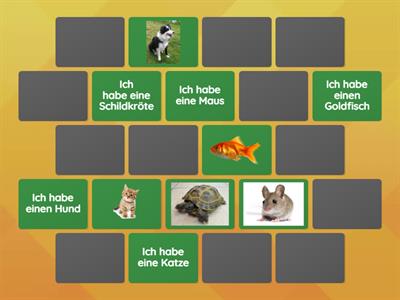 Haustiere - Teaching resources