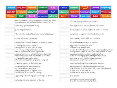 Wildlife - Teaching resources