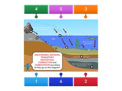 Sedimentary rocks - Teaching resources