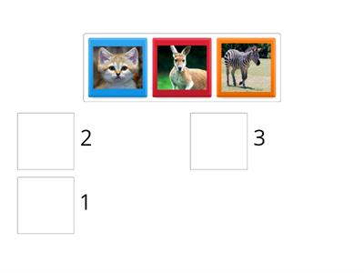 Segmentation game - Teaching resources