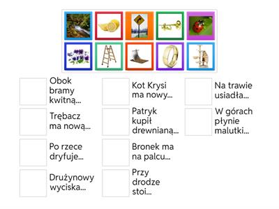 Dyktando z rz po spółgłoskach - Materiały dydaktyczne