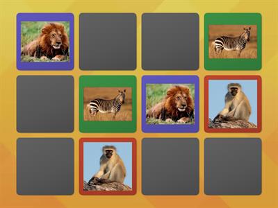 Animals Zoo - Teaching resources