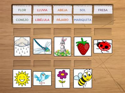 Memory la primavera - Recursos didácticos