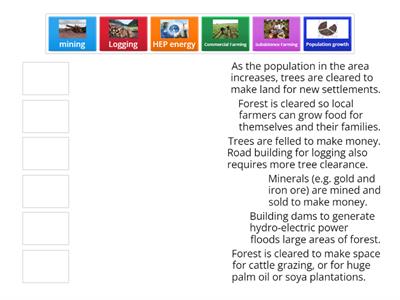 Deforestation - Teaching resources