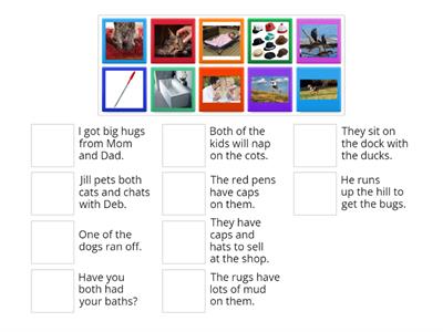Sentence picture match - Teaching resources