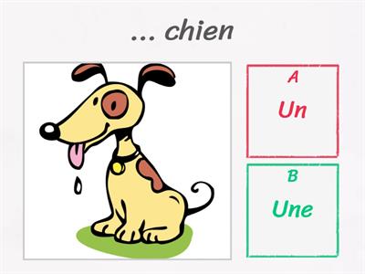 Adjectifs masculin et féminin - Ressources pédagogiques