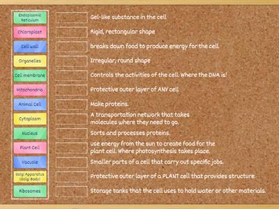 Cell organelles - Teaching resources
