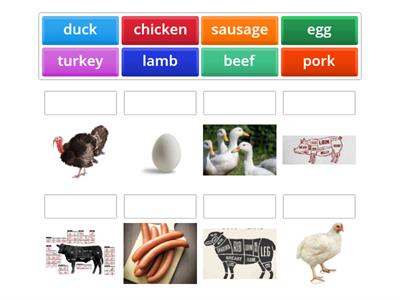 Meat - Teaching resources