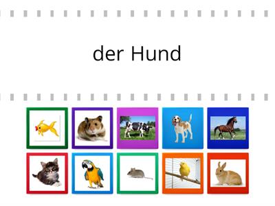 Tiere memory - Unterrichtsmaterialien