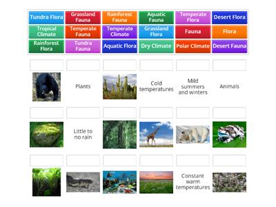 Biomes - Teaching resources