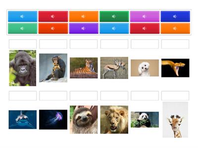 Vocabulary Animals - Recursos didácticos