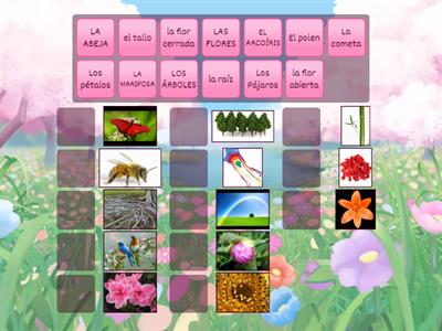 Primavera - Recursos didácticos