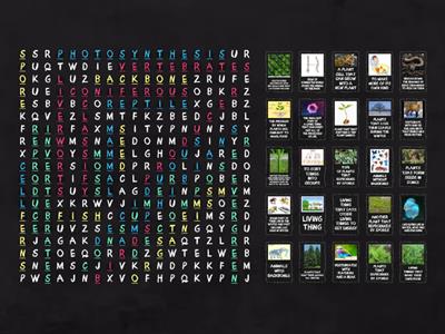 Animals Plants and - Teaching resources