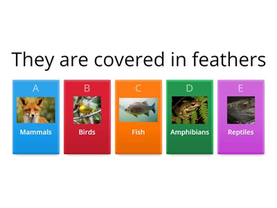 Vertebrates - Teaching resources