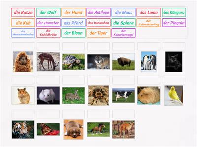 Deutsch Tiere - Unterrichtsmaterialien