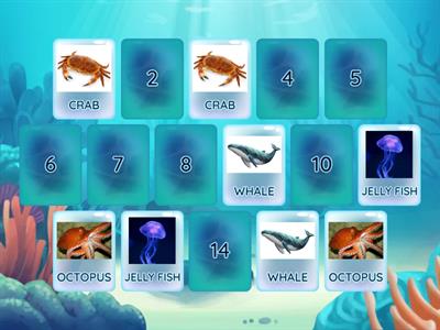 Animals Sea - Recursos didácticos