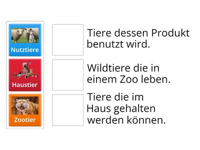 Deutsch Haustiere - Unterrichtsmaterialien