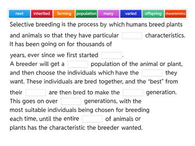 Selective breeding - Teaching resources