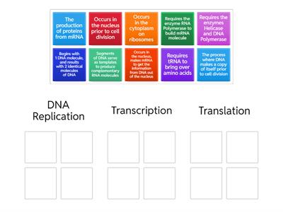 Transcription translation - Teaching resources