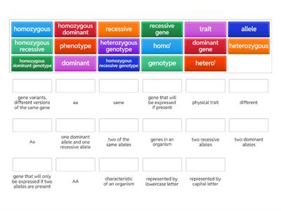 Mendelian inheritance - Teaching resources