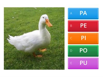 Sonido inicial - Recursos didácticos