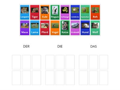 Tiere memory - Unterrichtsmaterialien