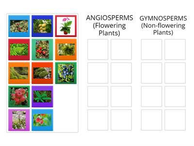 Flowering non flowering plants - Recursos didácticos