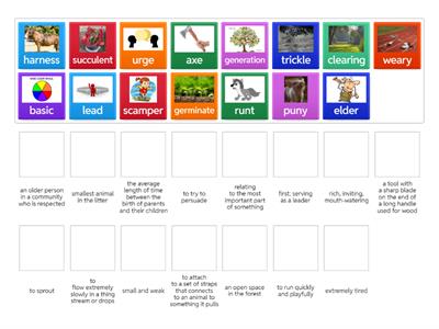 G5 ckla unit 8 lessons - Teaching resources