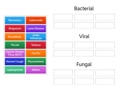 Diseases - Teaching resources