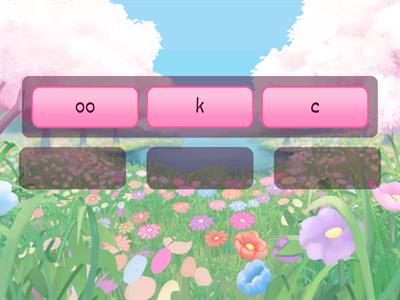 Oo spelt oo u oul - Teaching resources