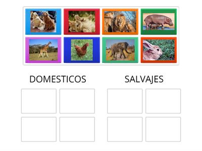 Animales domesticos y salvajes - Recursos didácticos