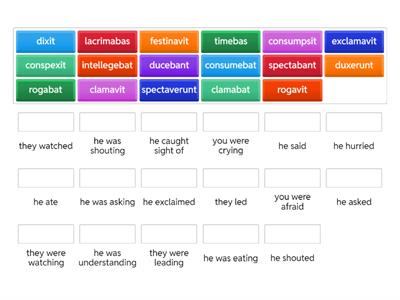 French Perfect and imperfect - Teaching resources