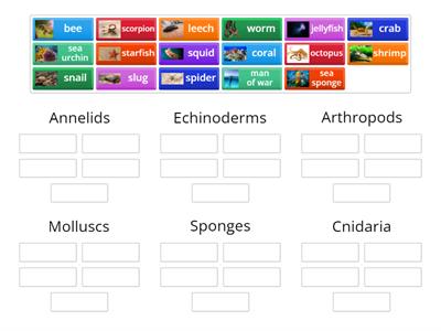 Invertebrates - Teaching resources